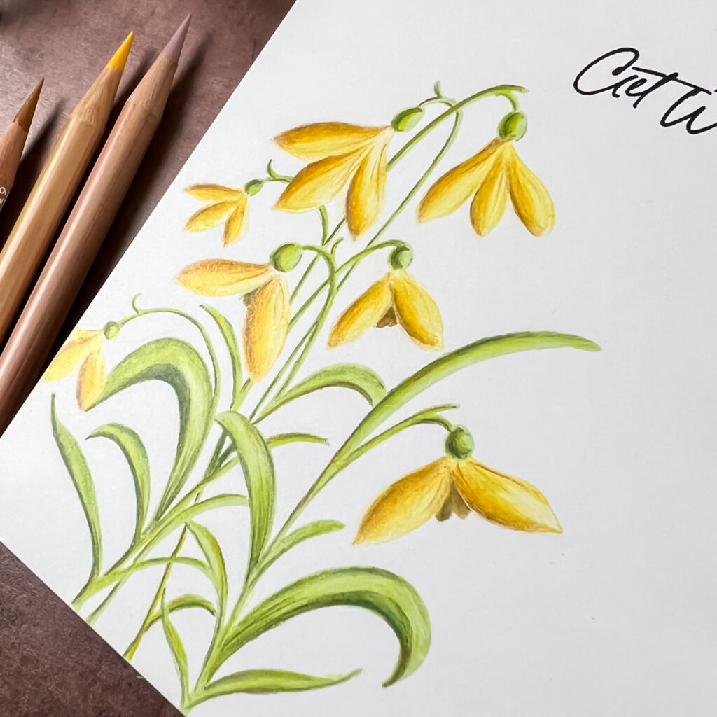 More Spring Fling Inspiration with Angelica + Video – The Greetery Blog